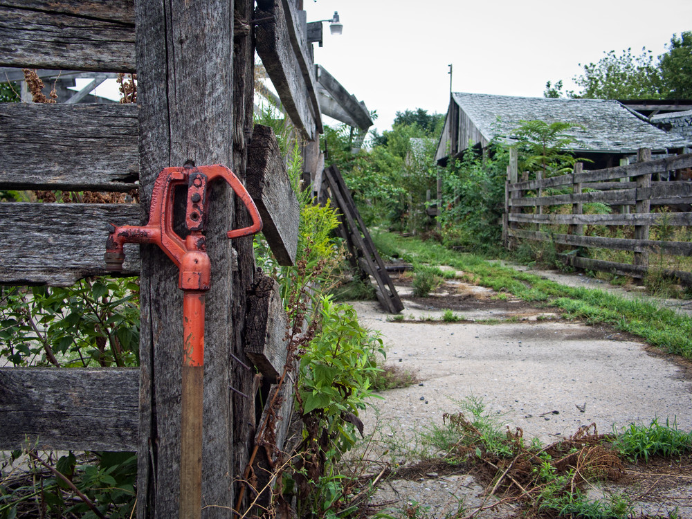 The Lancaster Stockyards | Burst of Red