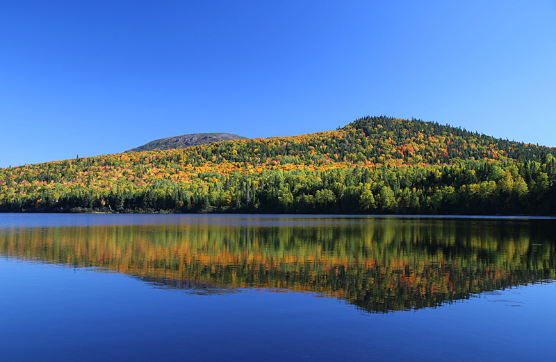 Mount Carleton Provincial Park New Brunswick Canada Autumn Foliage