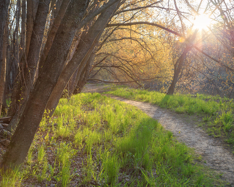 Merrimack River Floodplain in Spring