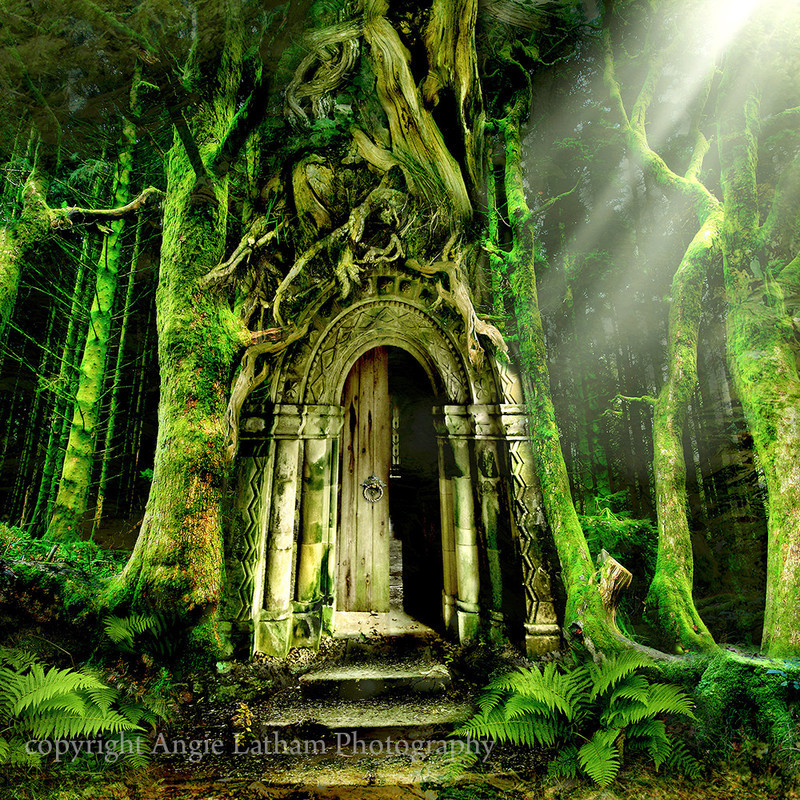 AS020 The Emerald Forest