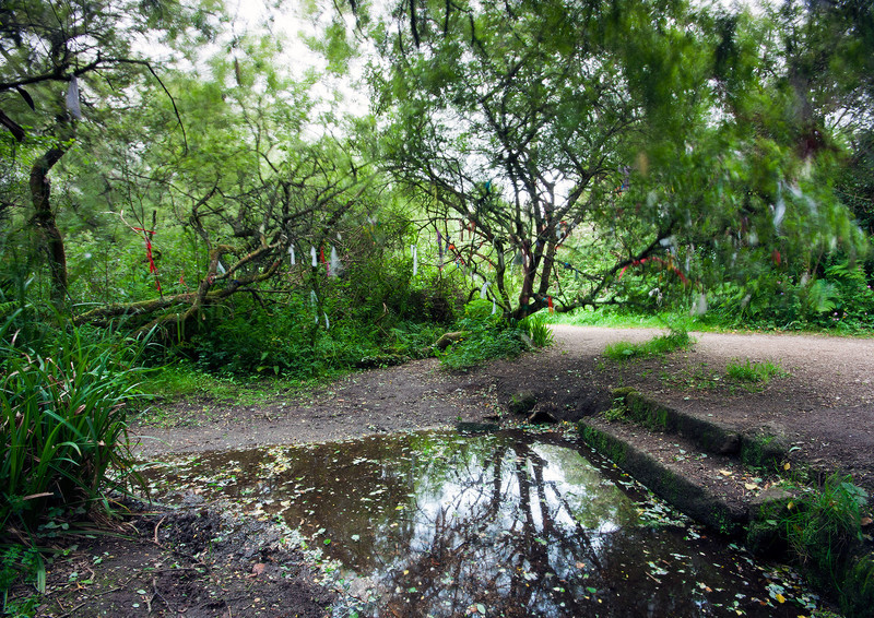 Madron Holy Well, Cornwall 2