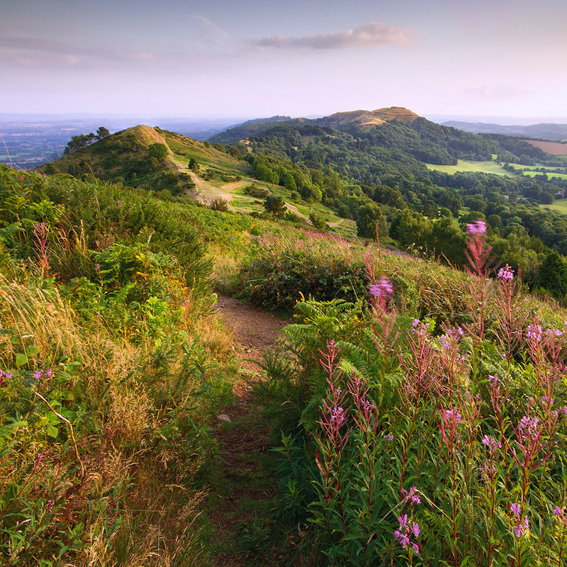 PS049 British Camp , Malvern Hills