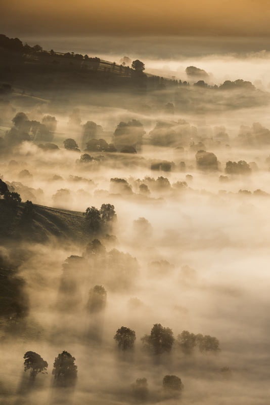 Late Summer sunrise.