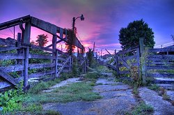 The Lancaster Stockyards (Lancaster, PA) | Abandoned America