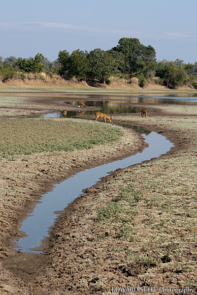 Drying lagoons