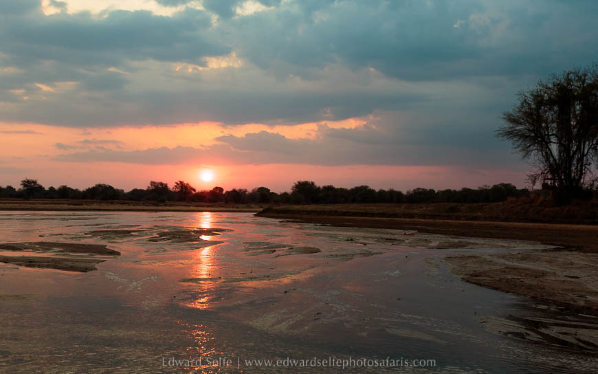 A photo mega-safari in peak safari season in South Laungwa with Edward ...