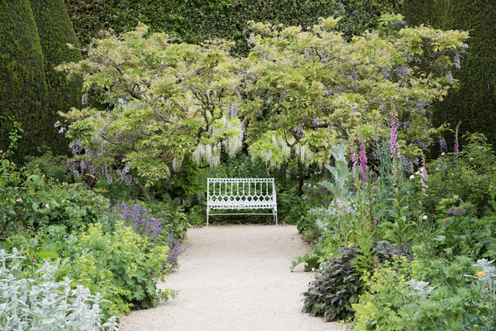 how to photograph gardens